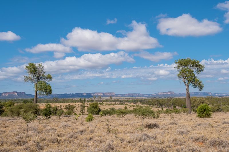 Take the Drive - Barcoo Way