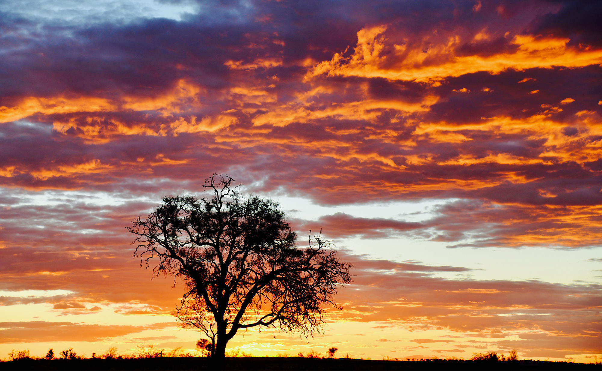 Windorah - Barcoo Way