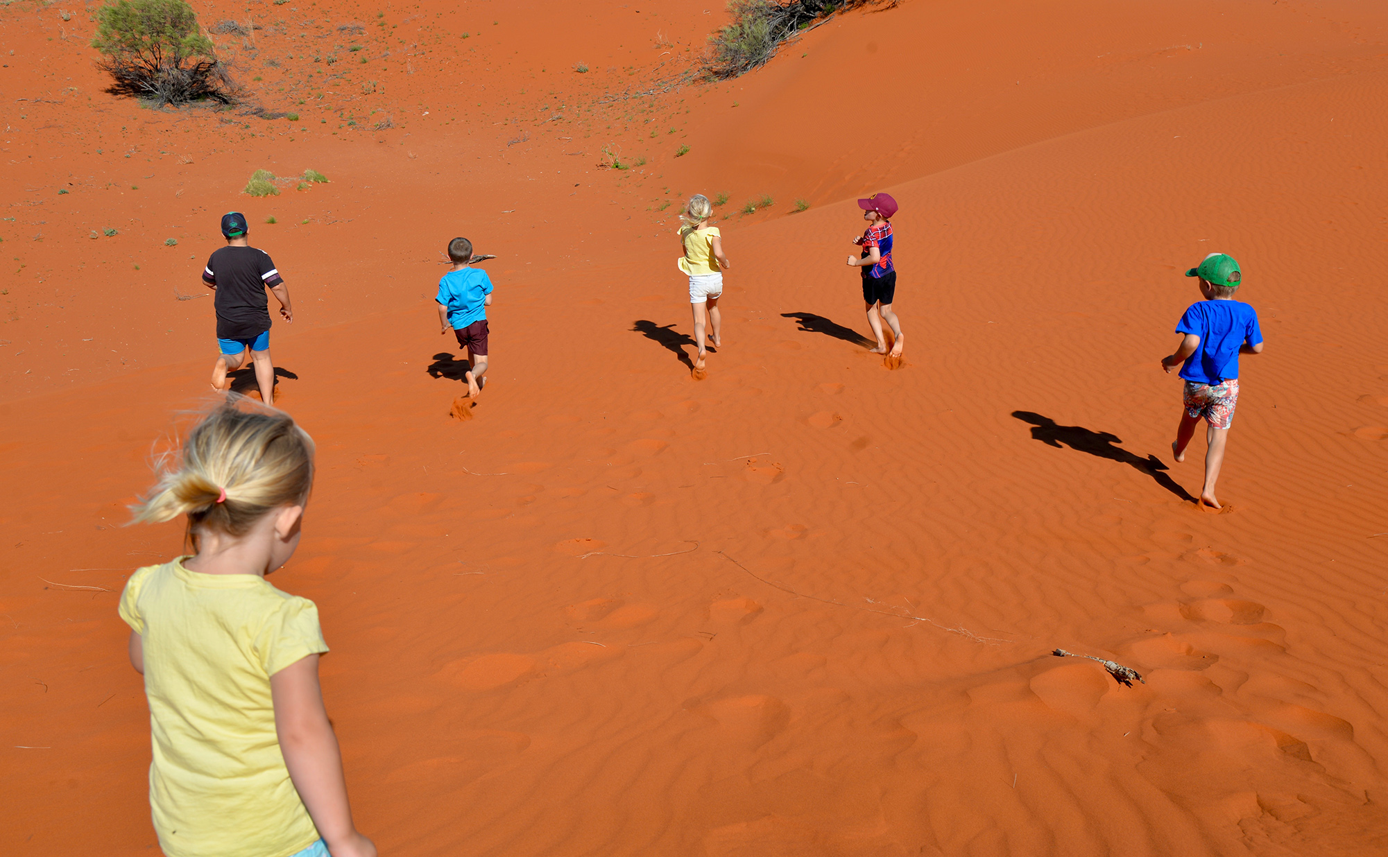 Windorah - Barcoo Way