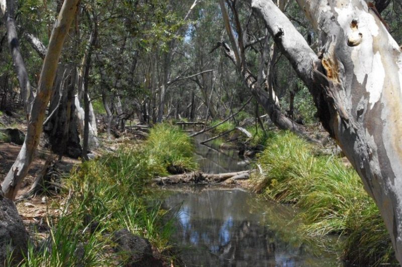 Langlo-Adavale 4WD Track - Barcoo Way